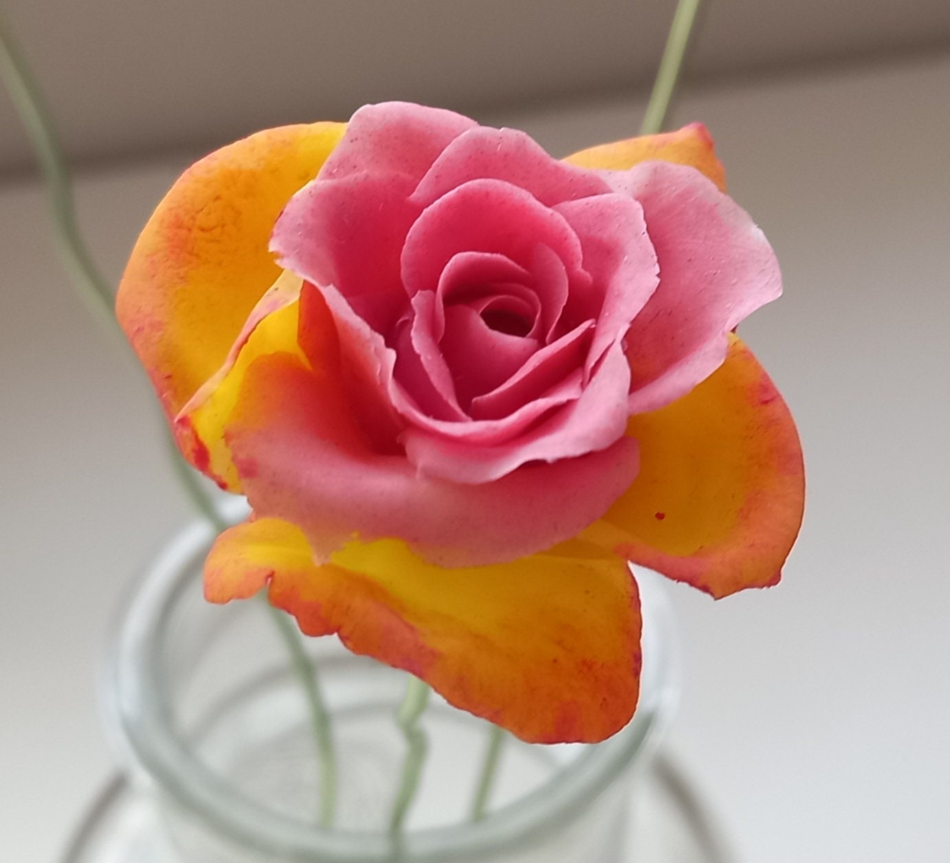 Cold Porcelain Tea Rose - Etsy