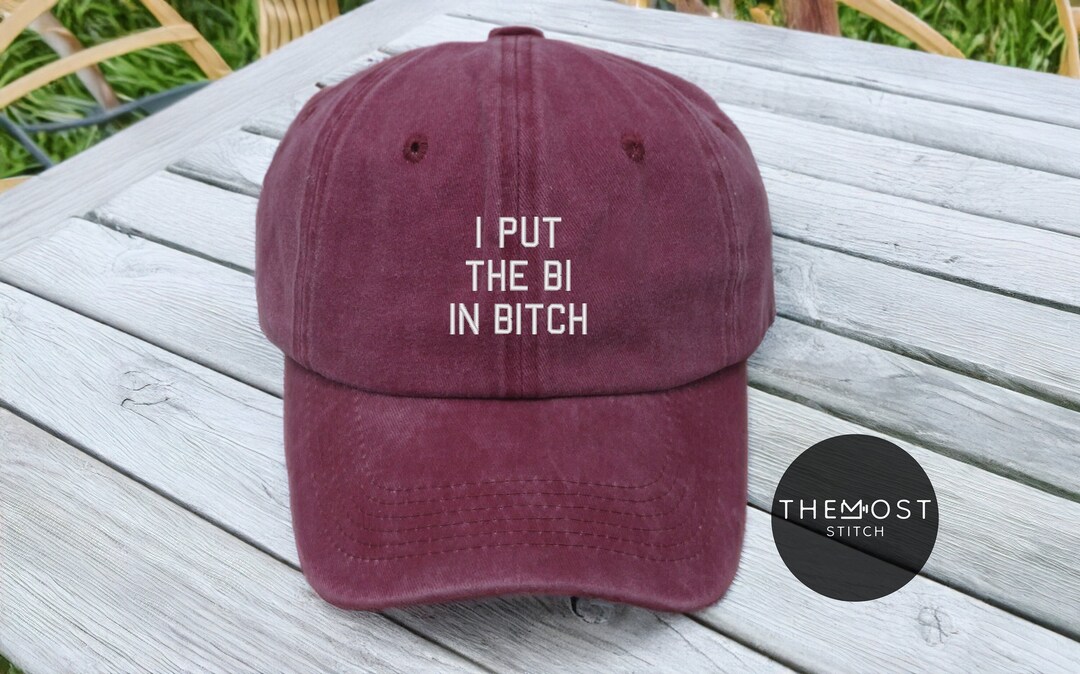 Embroidered Baseball Cap: Bisexual Pride Hat, Funny Bi Meme - Etsy