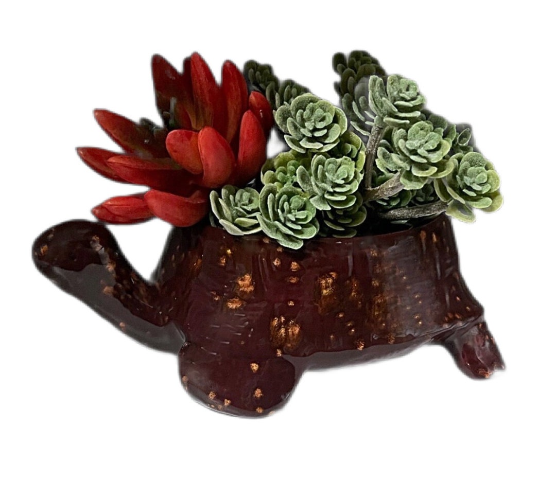 Ceramic Turtle Succulent Planter, Turtle Sponge Holder, Succulent ...