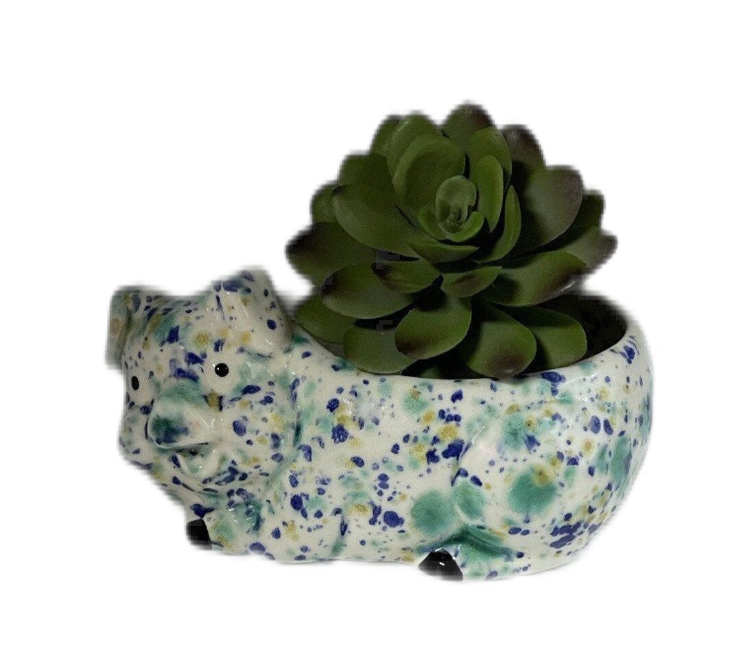 Ceramic Pig, Succulent Planter, Pig Sponge Holder, Ceramic Pig Pot, Pig ...
