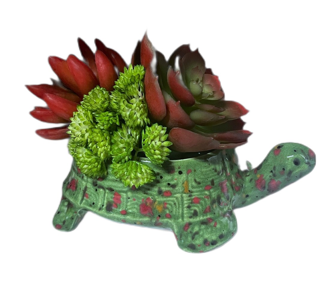 Ceramic Turtle Succulent Planter, Turtle Sponge Holder, Succulent ...