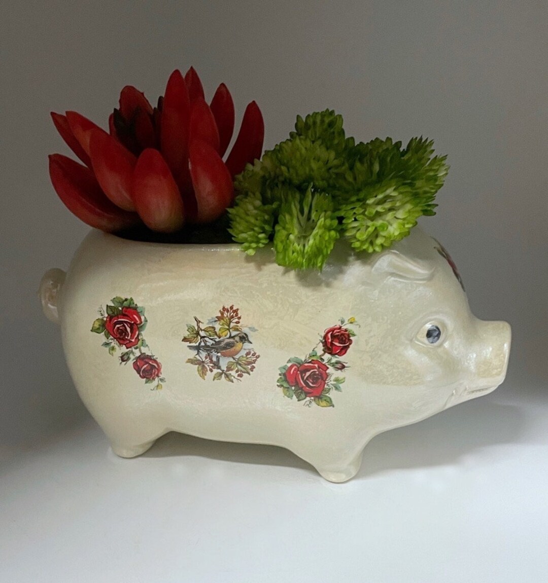 Ceramic Pig, Succulent Planter, Pig Sponge Holder, Ceramic Pig Pot, Pig ...