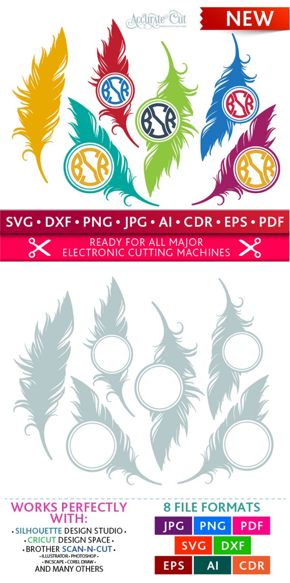 Feather Svg Feather Monogram Frames Svg Feather Frames Svg | Etsy
