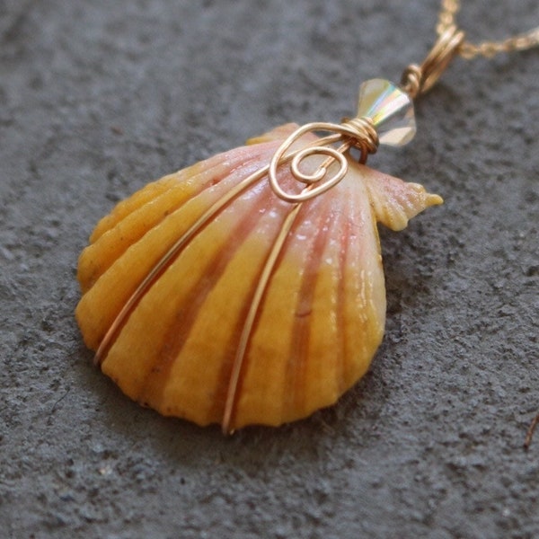 Sunrise Shell - Etsy