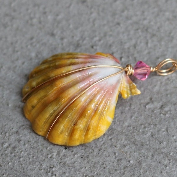 Sunrise Shell Necklace - Etsy