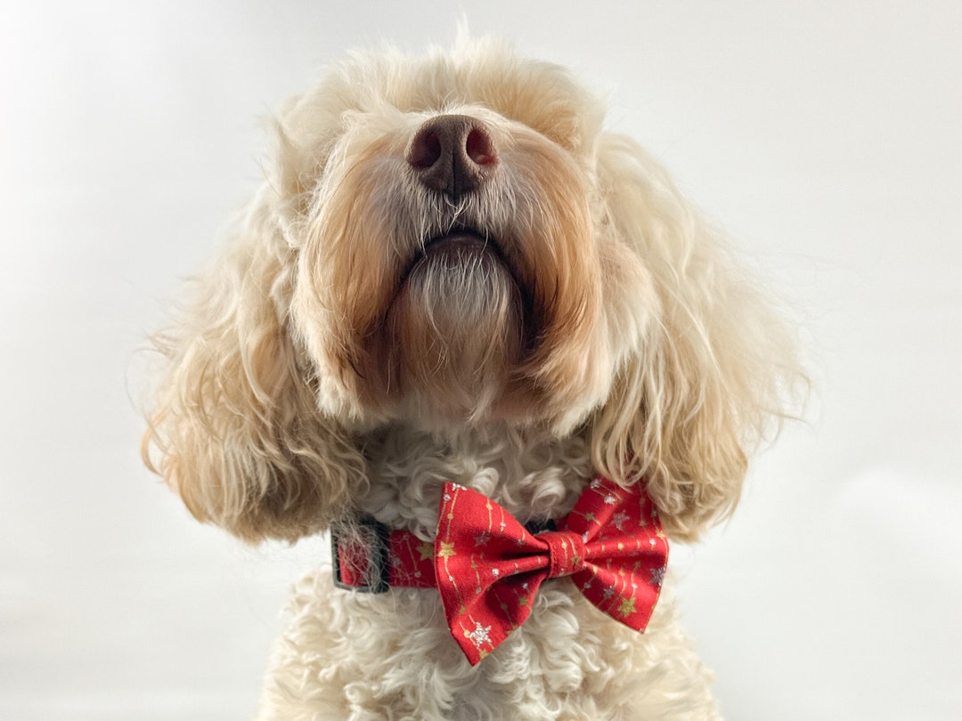 Christmas Red Metallic Stars Dog Bow Tie - Etsy