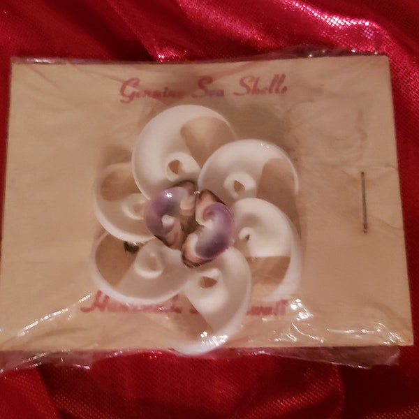 Shell Brooch - Etsy