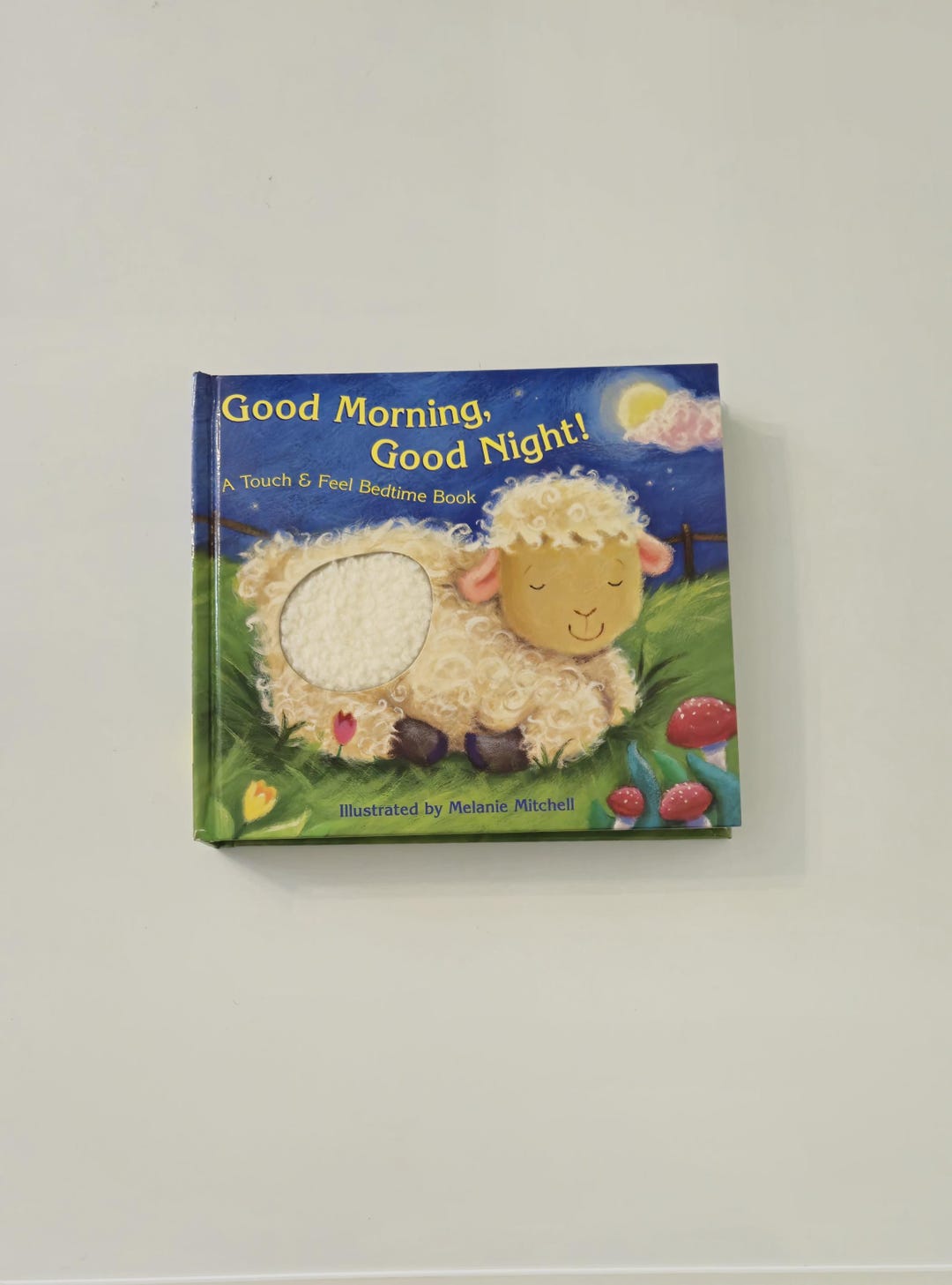 Vintage Children's Book - Good Morning, Good Night! A Touch & Feel ...