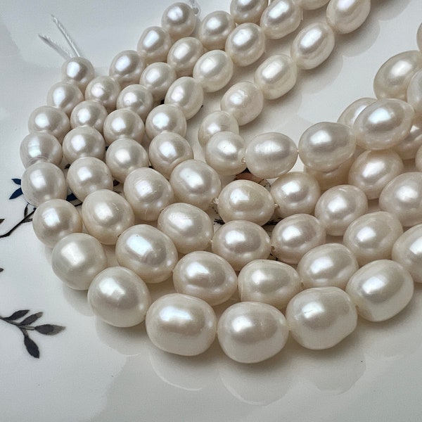 Oval Shaped Pearl - Etsy