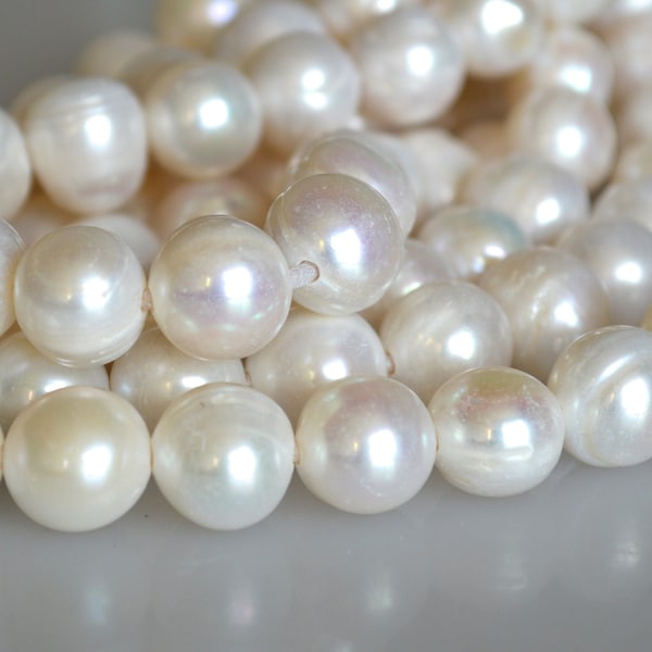 Large Pearls - Etsy