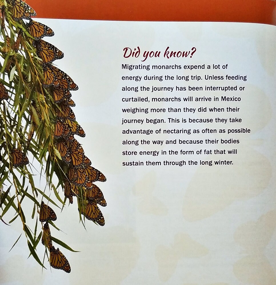 The MONARCH: Saving Our Most-loved Butterfly - Hardcover Book - Etsy