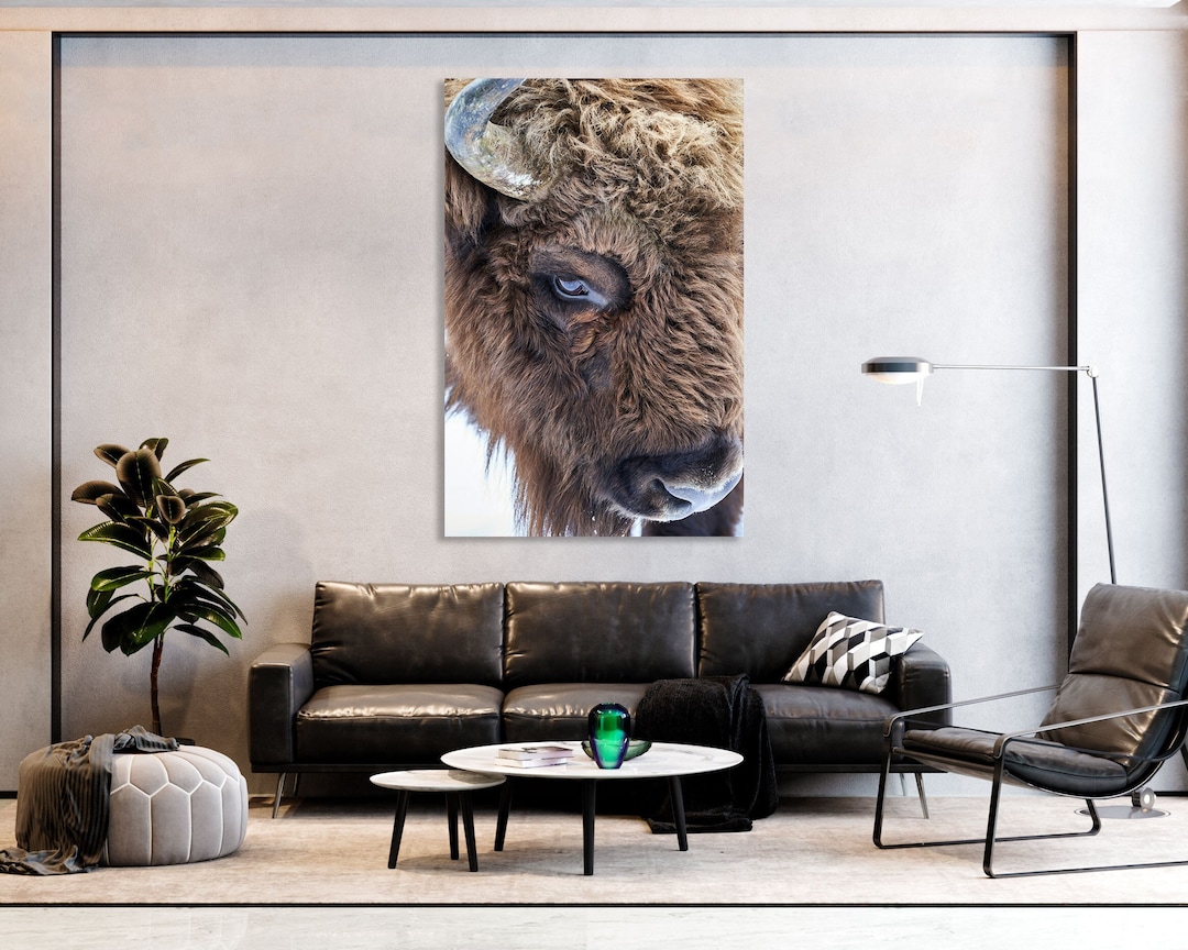 Bull Living Room Wall Decor Bull Canvas Wall Art for Home and Office ...