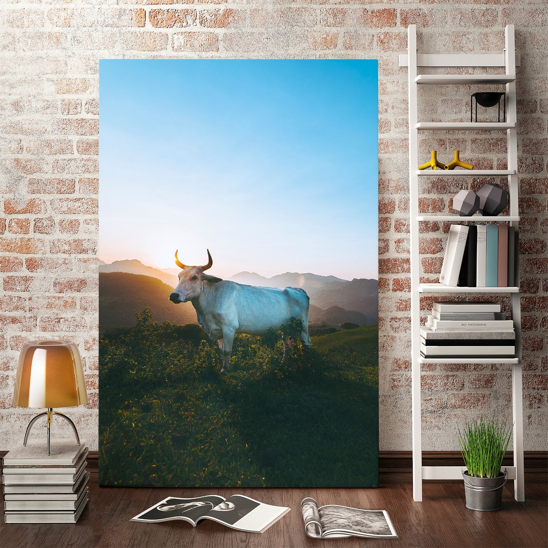 Bull at Sunrise Modern Wall Decorations, White Cow Wall Paintings, Bull ...
