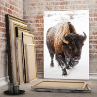 Bison Print - Etsy