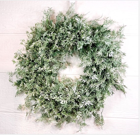 Wispy Evergreen Plant