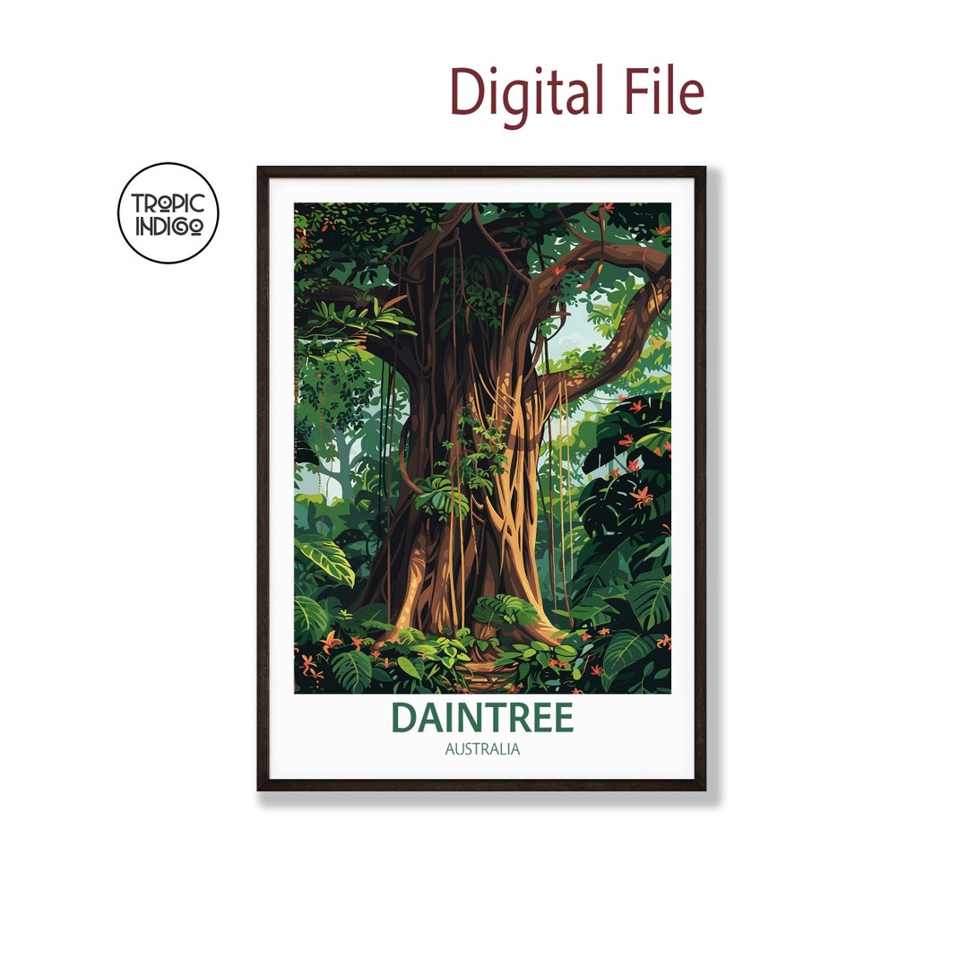 Daintree Rainforest. Buttress Fig Tree Travel Poster, Australia ...
