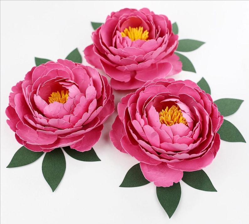 Mini Peony Template Paper Flower Small/medium/large PNG SVG - Etsy