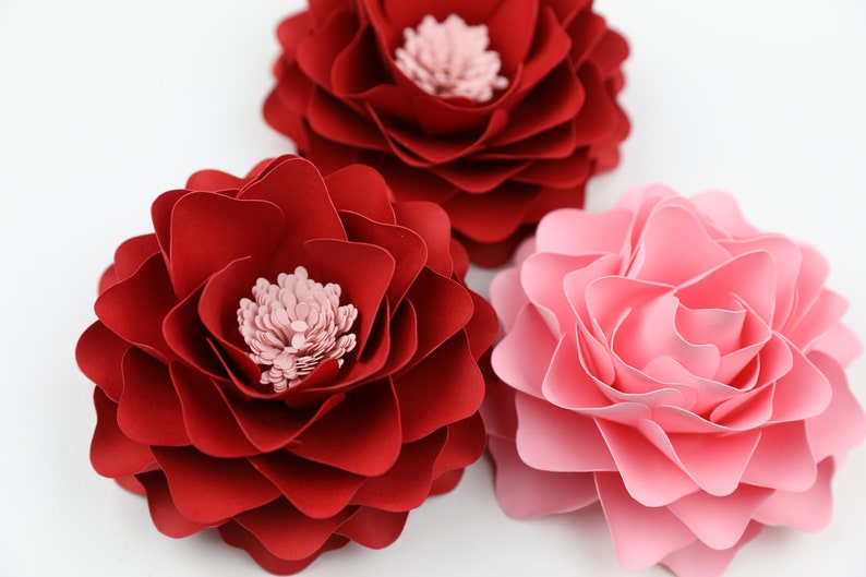 Mini Template 13 Paper Flower Small/medium/large PNG SVG DXF - Etsy