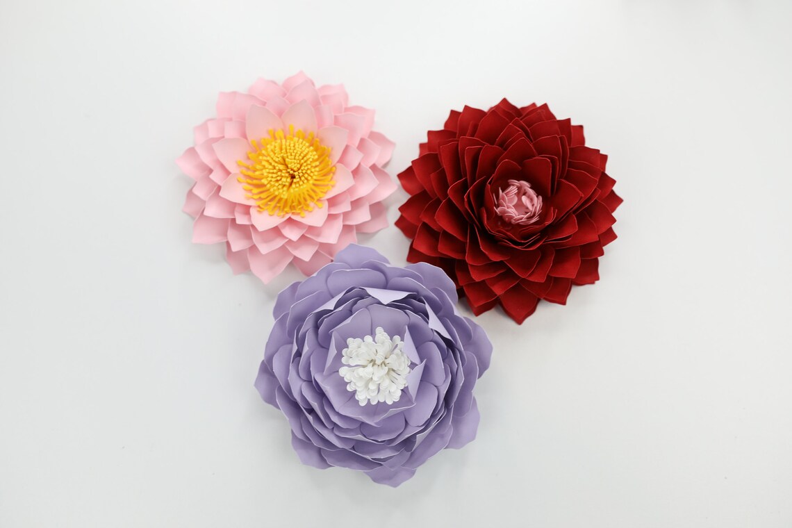 Mini Template 31 Paper Flower Small/medium/large PNG SVG DXF | Etsy