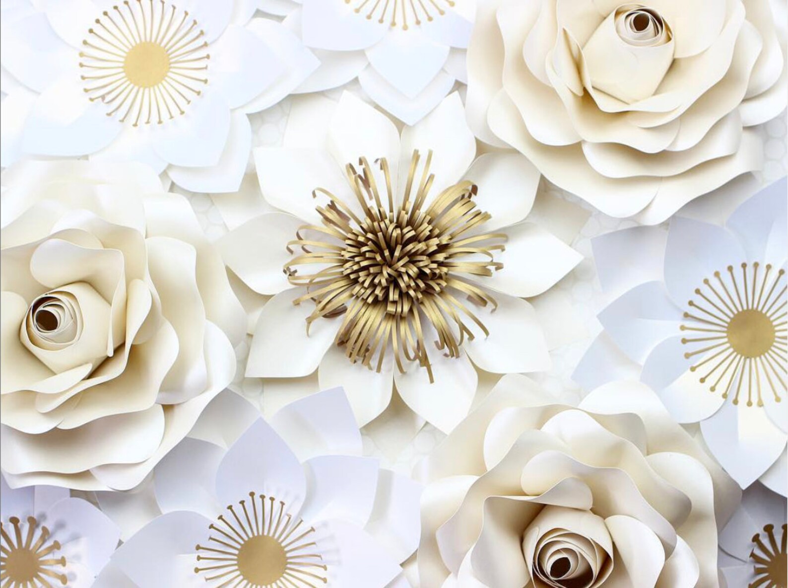 Flower Template 5 Paper Flower PDF SVG DXF Png Silhouette - Etsy