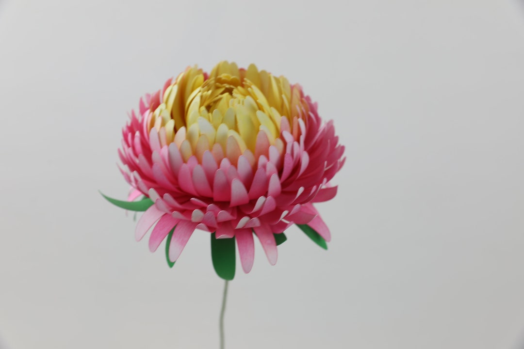 Mini Chrysanthemum Template Paper Flower Small/medium/large PNG SVG DXF ...