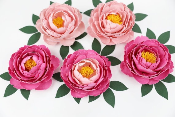 Mini Peony Template Paper Flower Small/medium/large PNG SVG - Etsy