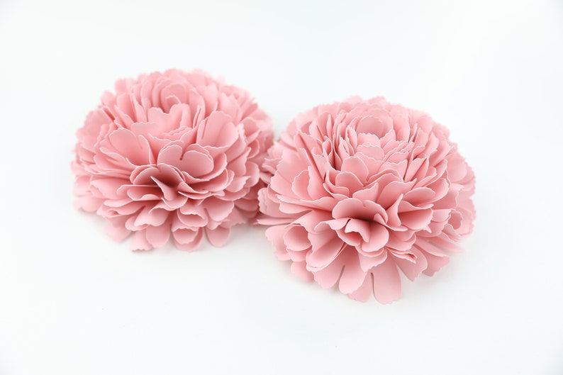 Mini Carnation Template Paper Flower Small/medium/large PNG | Etsy