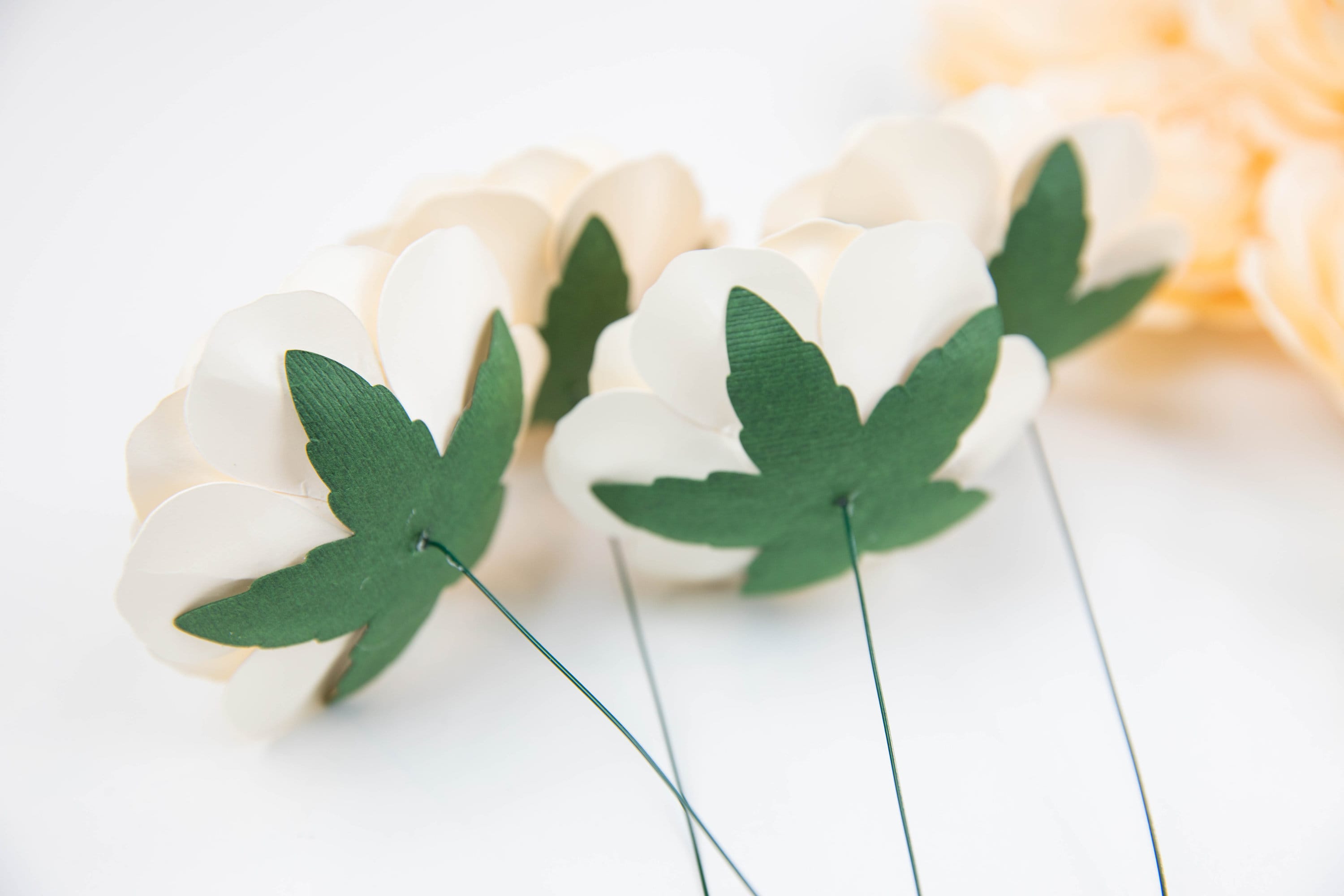 Calyx Pack 1 12 Shapes 2 Variants for Paper Flowers SVG - Etsy