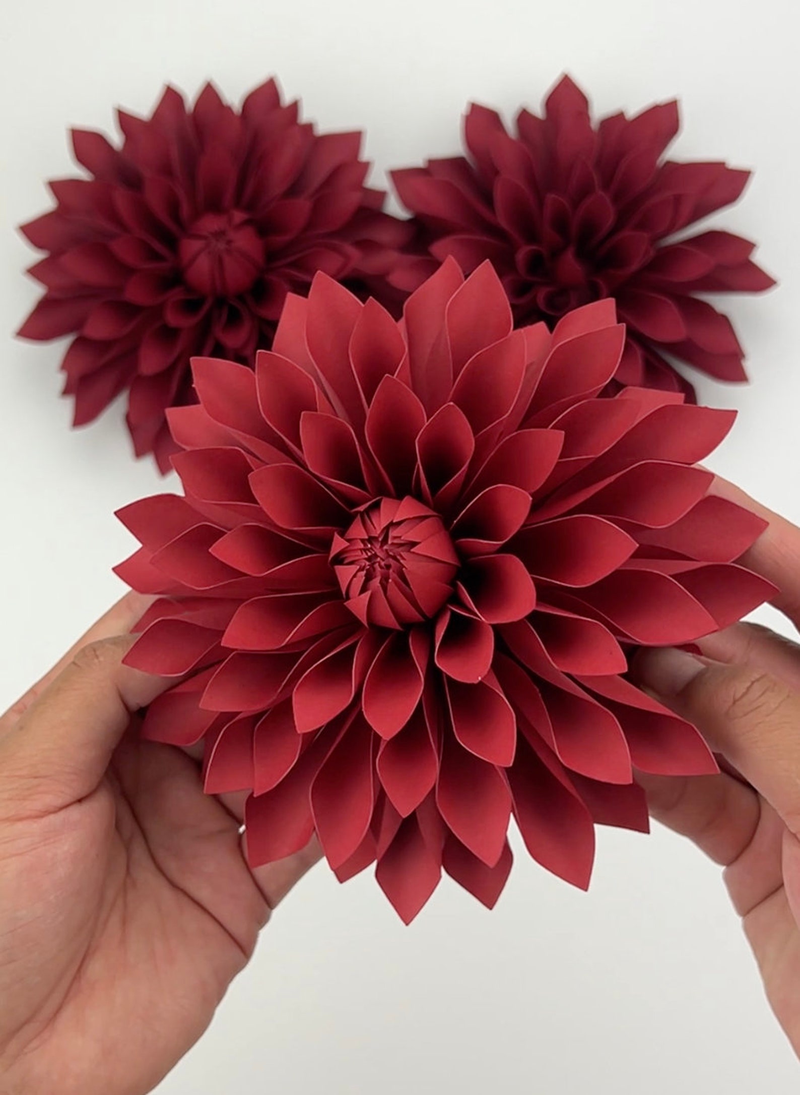 Mini Dahlia 3 Template Paper Flower Small/medium/large PNG SVG DXF ...