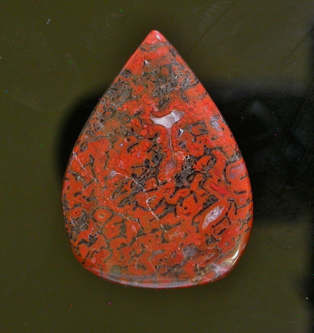 Agatized Dinosaur Bone, Dinosaur Fossil, Utah Gem, Red Dinosaur Bone ...