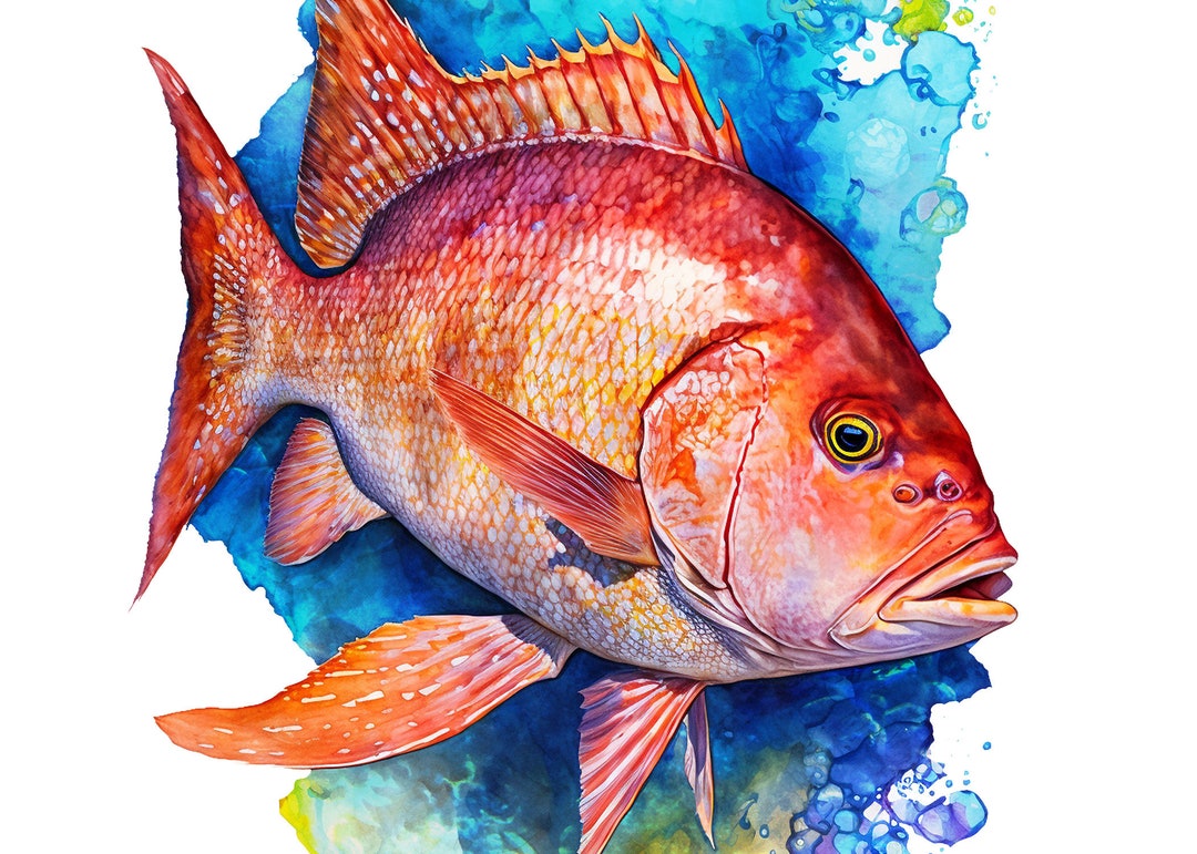 Red Snapper / Instant Download / 5 Standard Sizes / by Craig Reese - Etsy