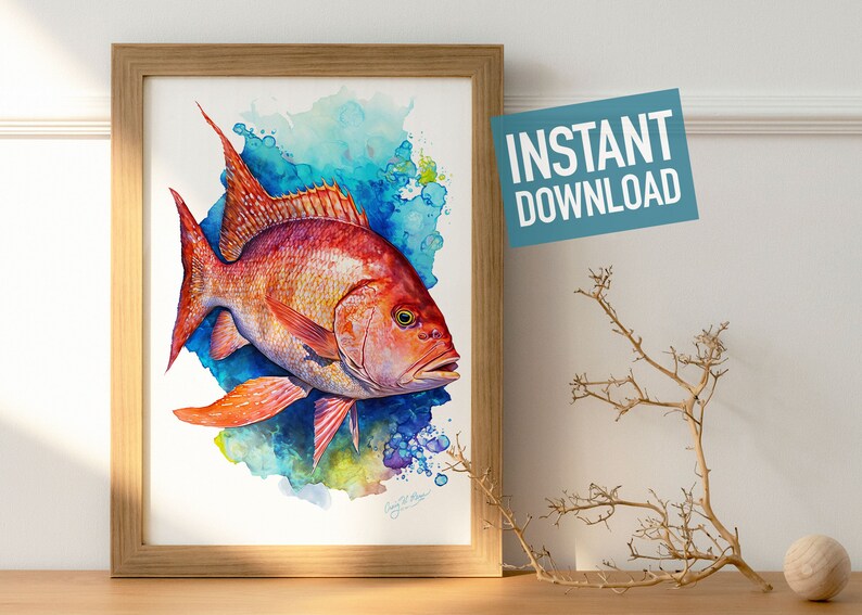 Red Snapper / Instant Download / 5 Standard Sizes / by Craig Reese - Etsy