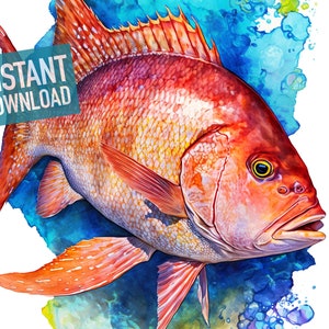 Red Snapper / Instant Download / 5 Standard Sizes / by Craig Reese - Etsy