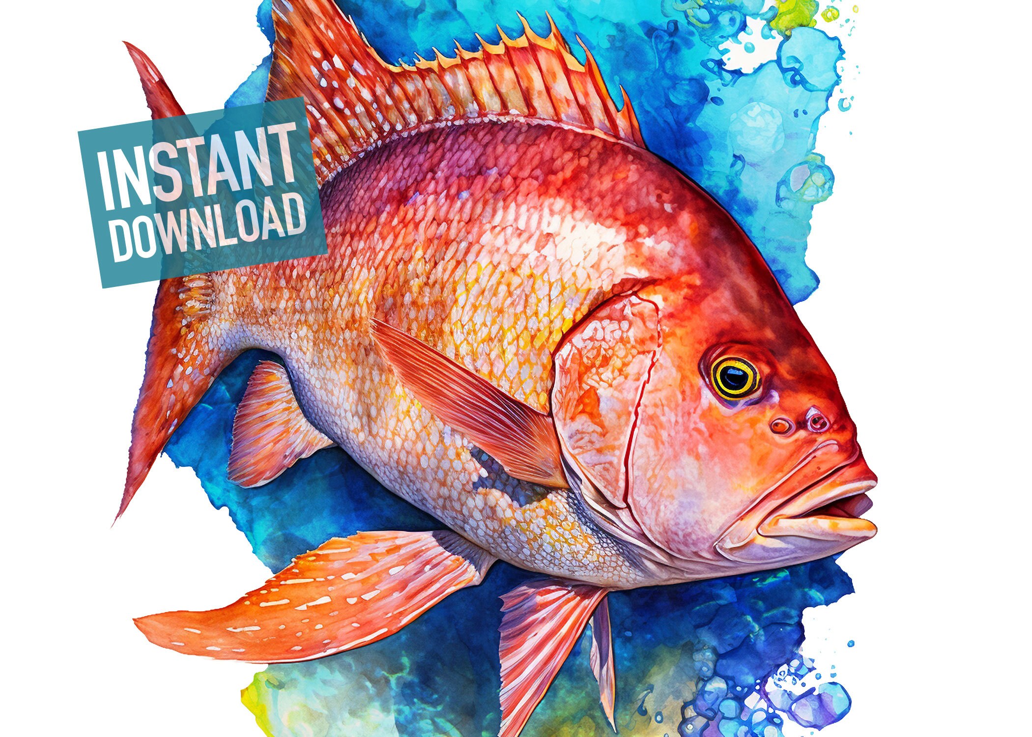 Red Snapper / Instant Download / 5 Standard Sizes / by Craig Reese - Etsy