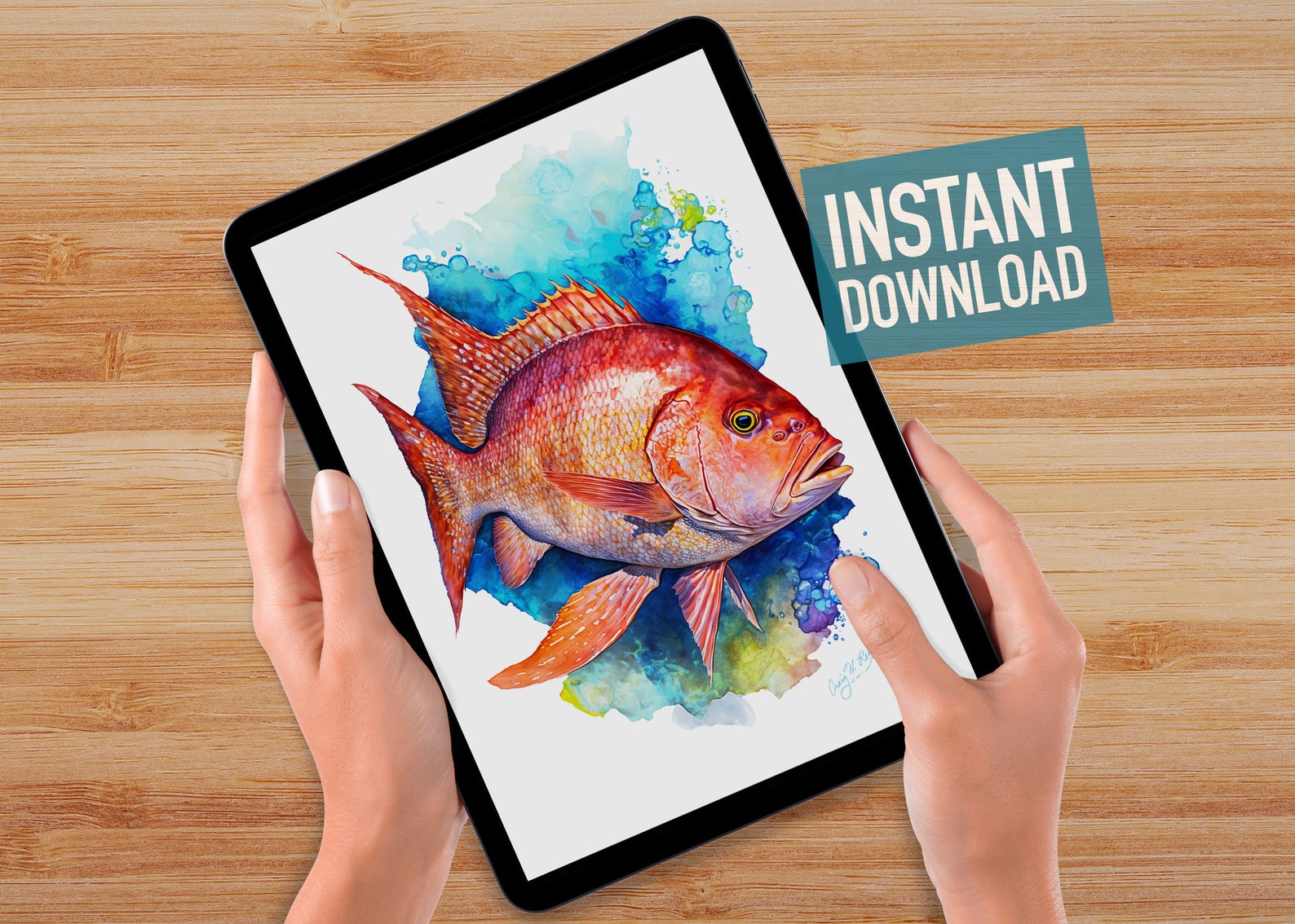 Red Snapper / Instant Download / 5 Standard Sizes / by Craig Reese - Etsy