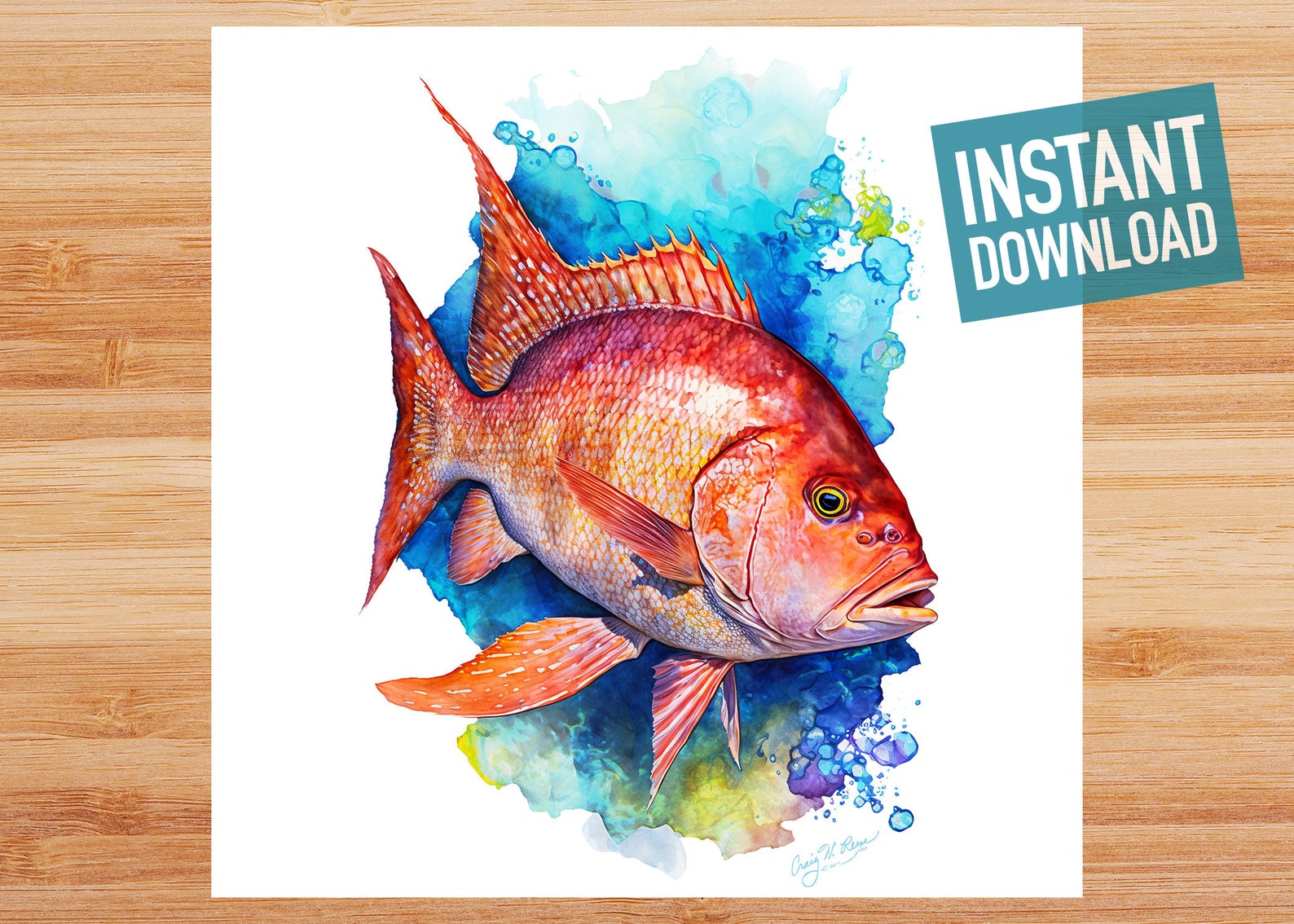 Red Snapper / Instant Download / 5 Standard Sizes / by Craig Reese - Etsy