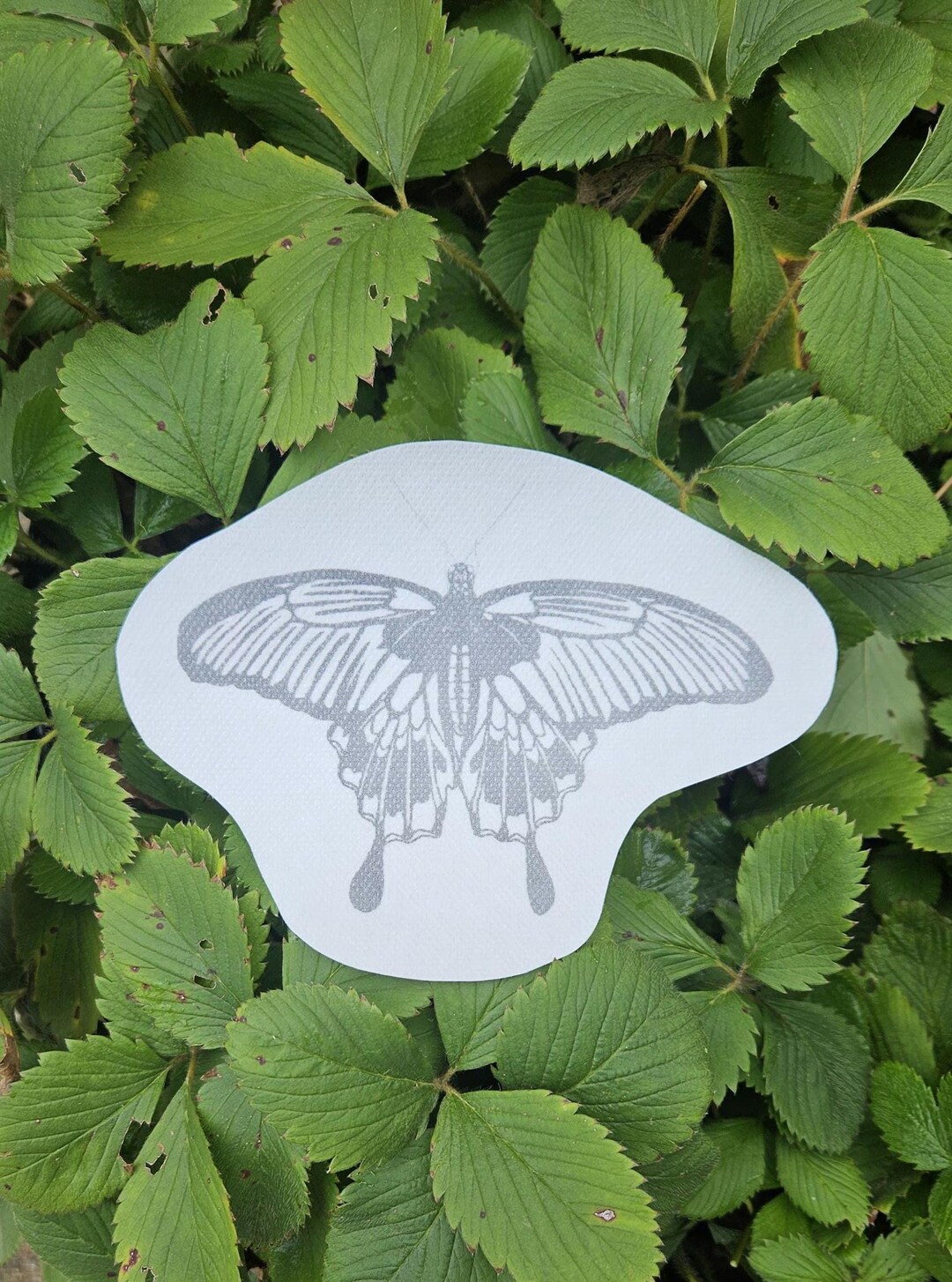 Stick and Stitch Large Butterfly Insect DIY Embroidery Water Soluble ...