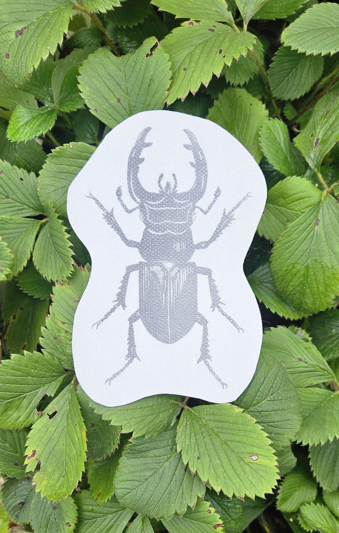 Stick and Stitch Stag Beetle Insect DIY Embroidery Water Soluble ...