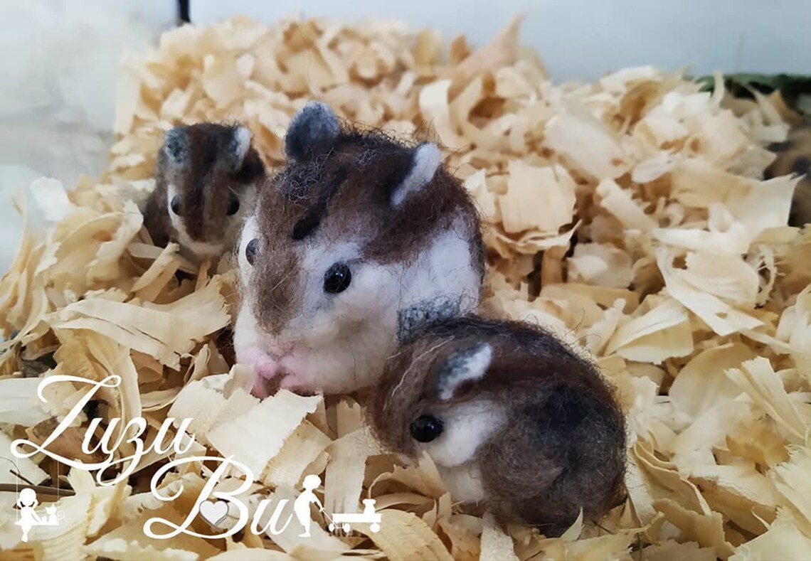 Needle Felting Hamster Family,hamster Felted Animals,felting Wool ...