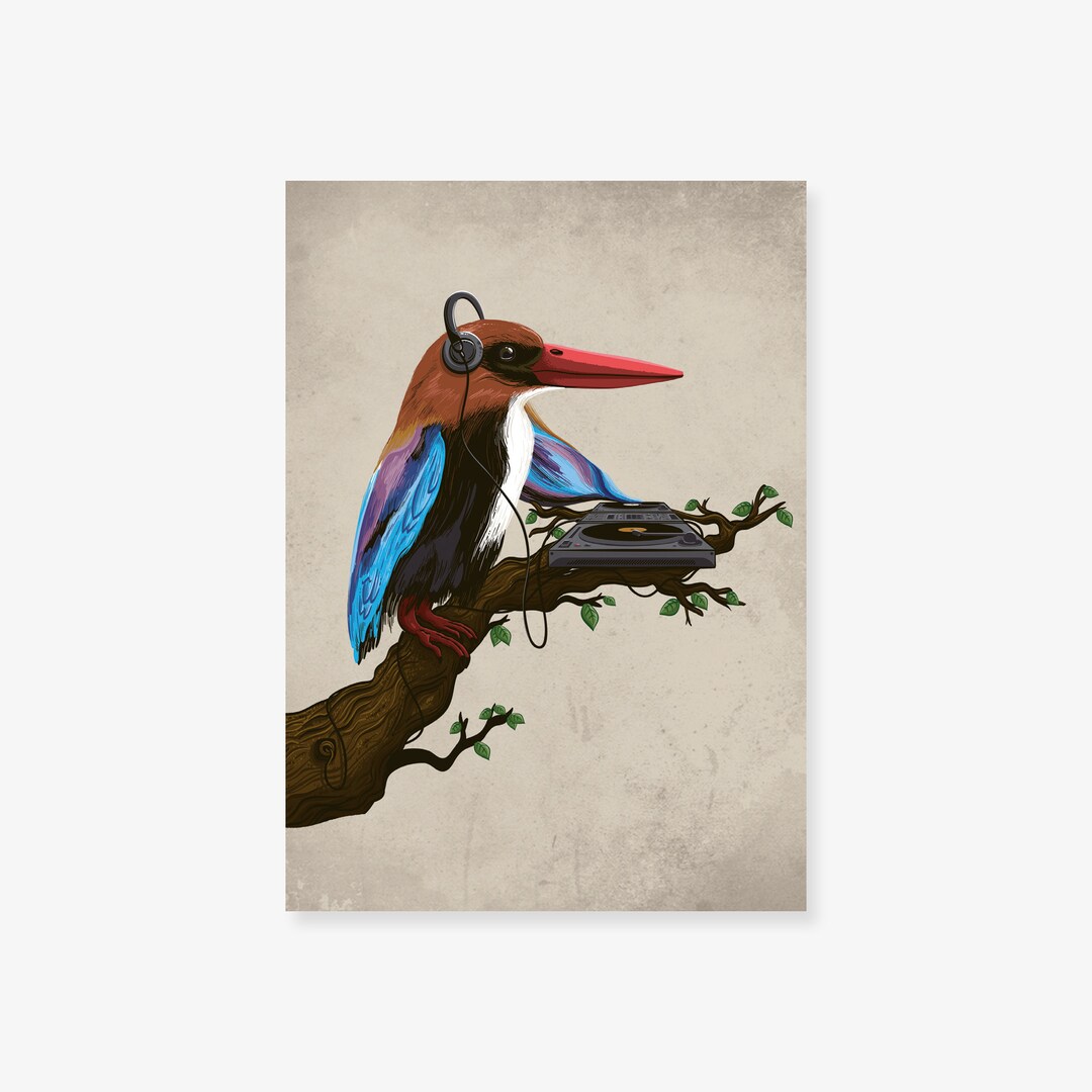 Tropical Sounds – Postcard - Etsy