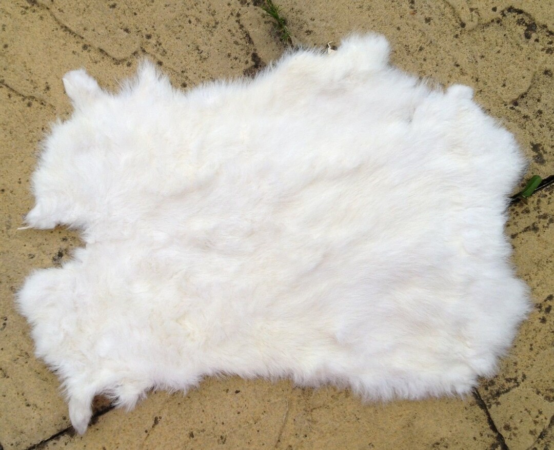 White Real Genuine Rabbit Fur Skin Pelt Hide Clothes Pet Toy - Etsy