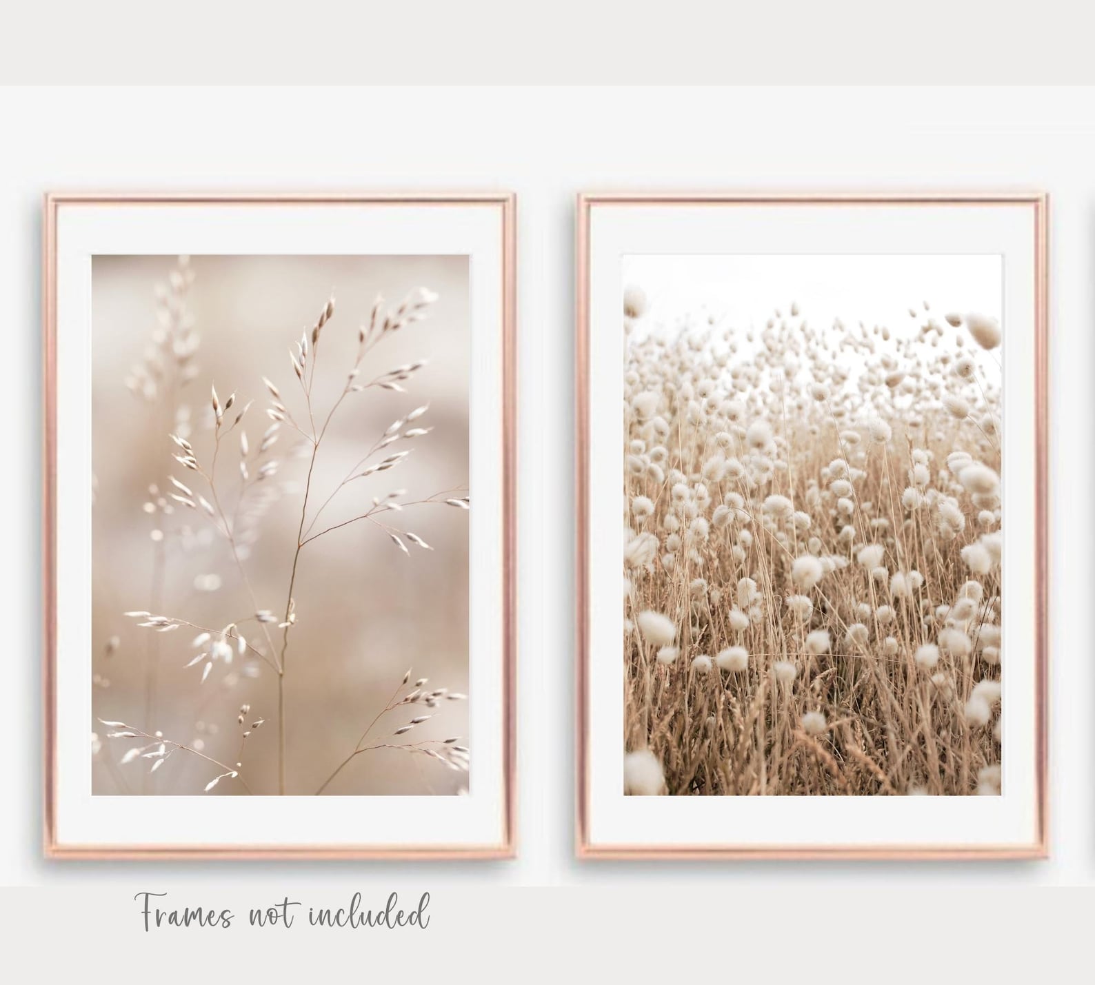 Beige Prints Beige Wall Art Beach Prints Floral Print - Etsy UK