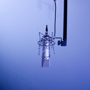 Adjustable microphone lift with Remote Control Ceiling | Etsy