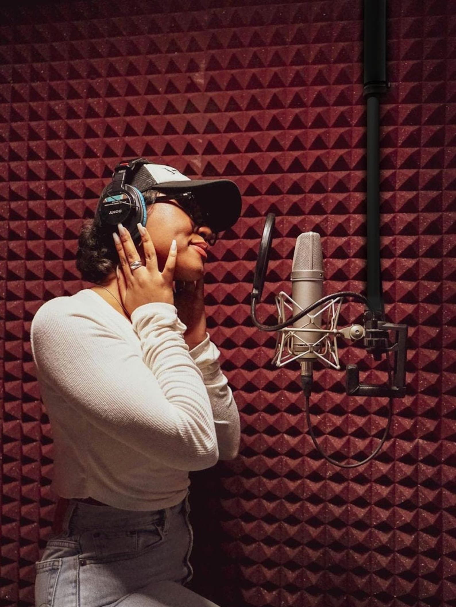 Adjustable Microphone Lift With Remote Control Ceiling Microphone ...