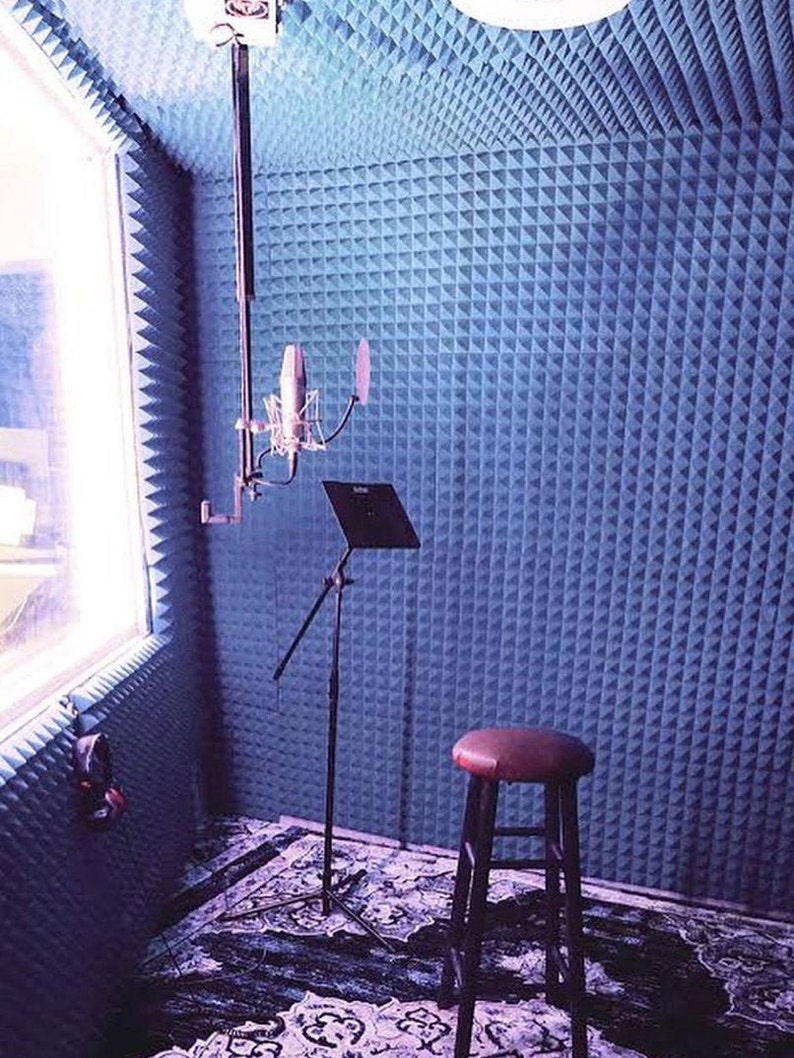 Adjustable Microphone Lift With Remote Control Ceiling Microphone ...