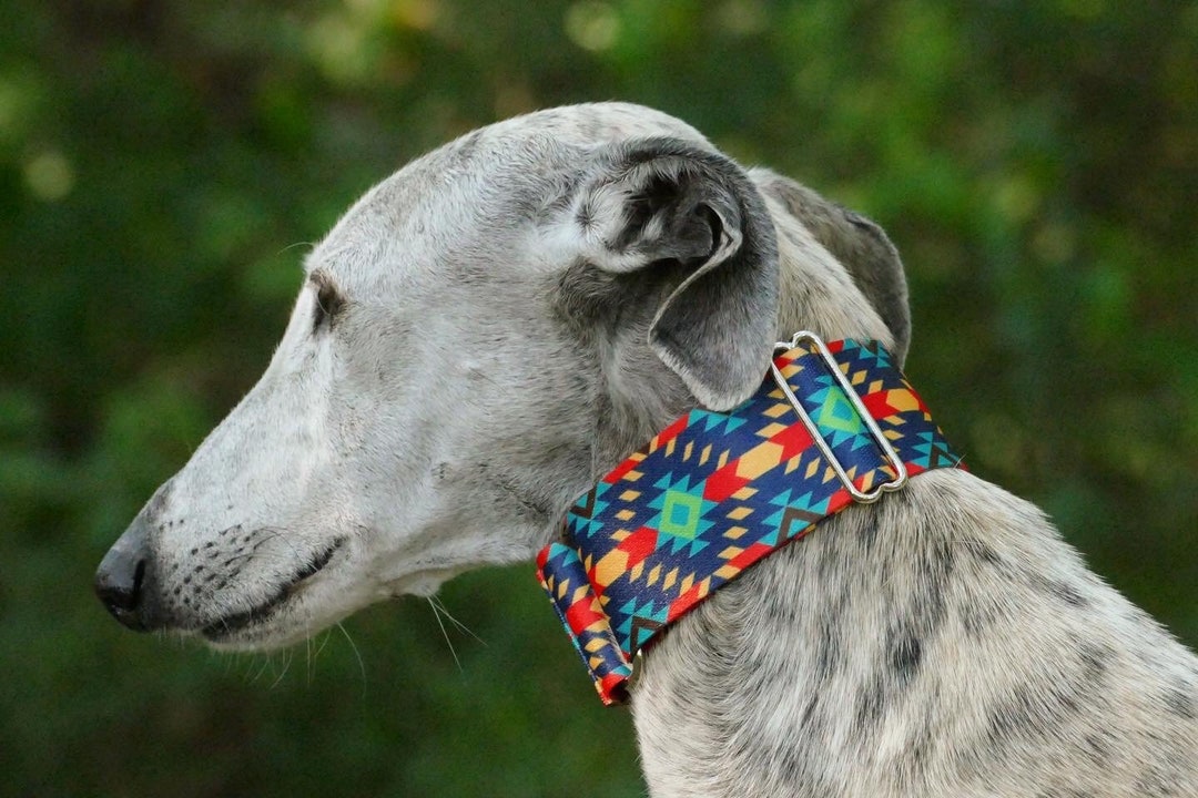 Collier martingale en sangle imprimée de 5 cm de largeur, ethnique ...