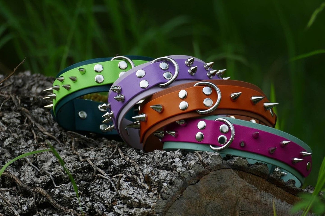 Biothane Dog Collar, 4 HAWK Models, Full 38 Mm, Removable Handle and ...