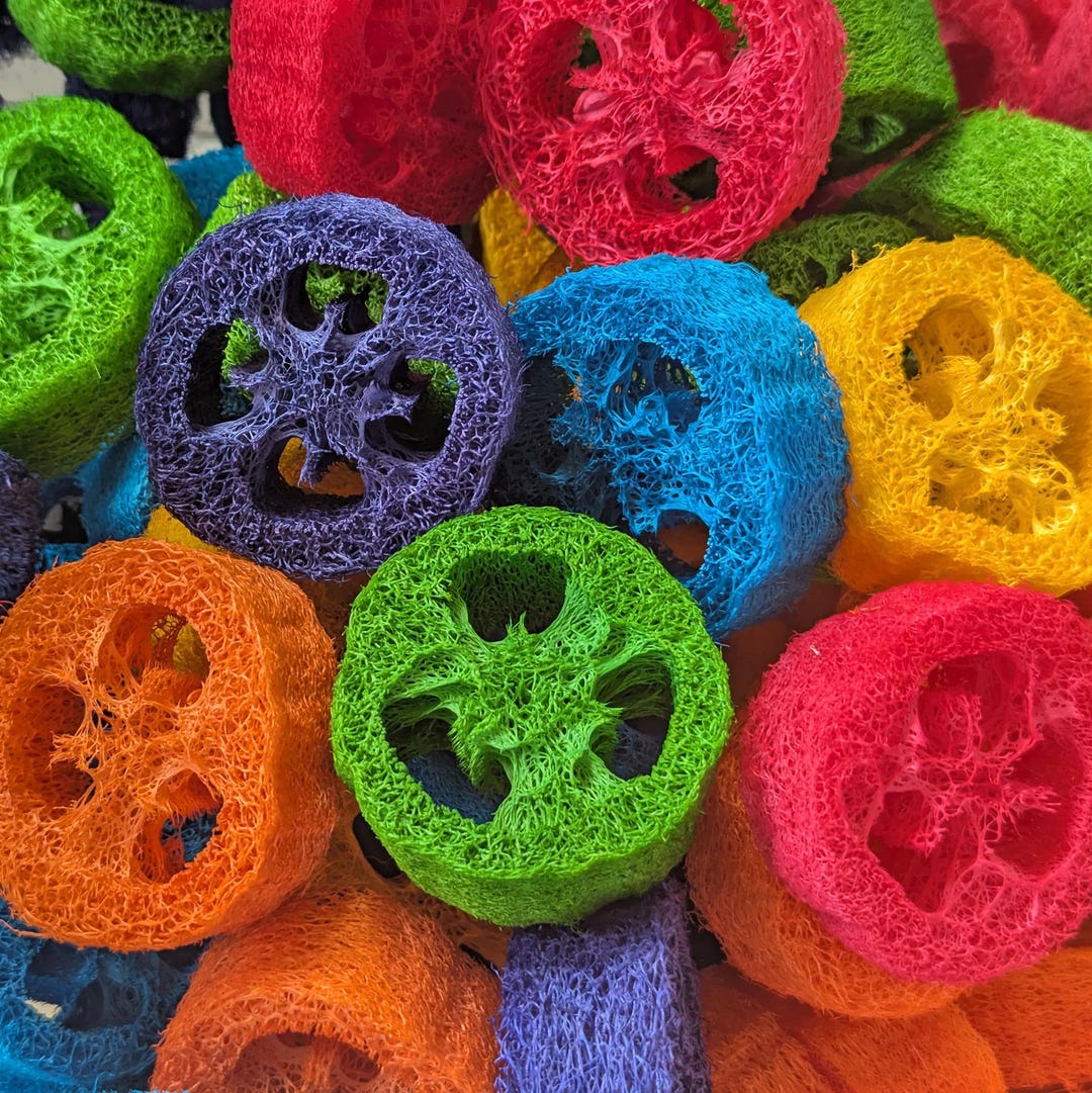 Colored Loofah Slices - Thick, Uniform and Clean - Pet Toy Parts ...