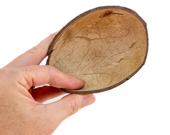 Coconut Half Shel. - Etsy