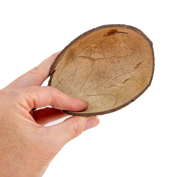 Coconut Shell - Etsy